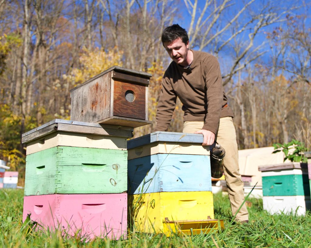 Getting started with Bees – HarBee Beekeeping