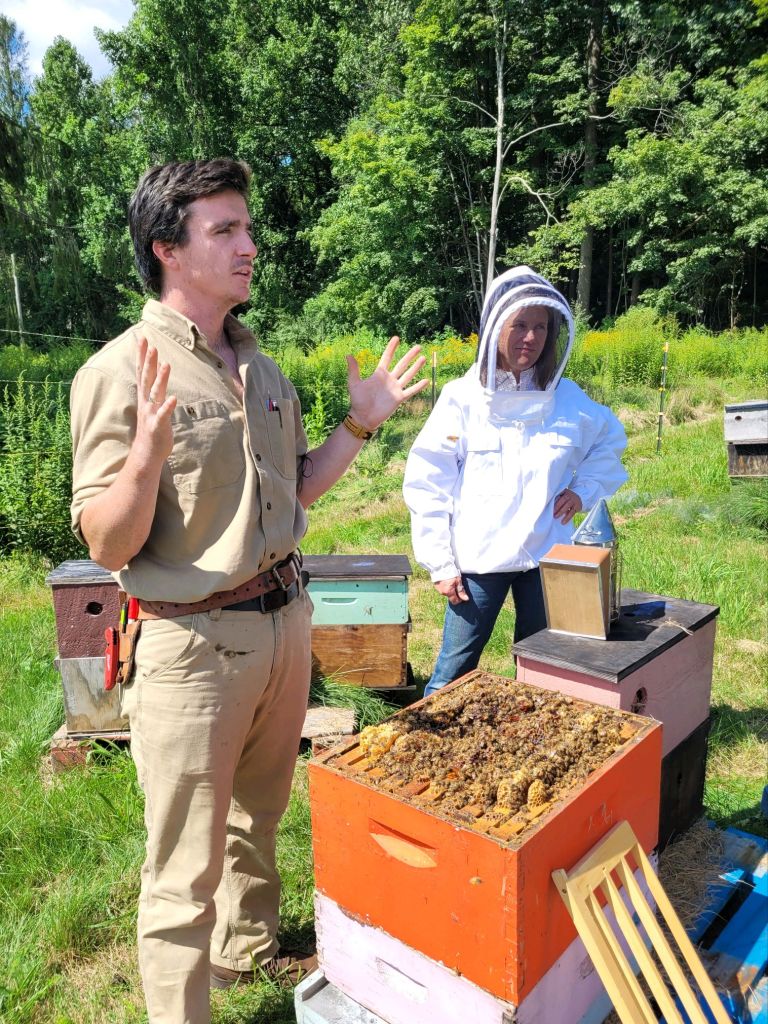 Getting started with Bees – HarBee Beekeeping